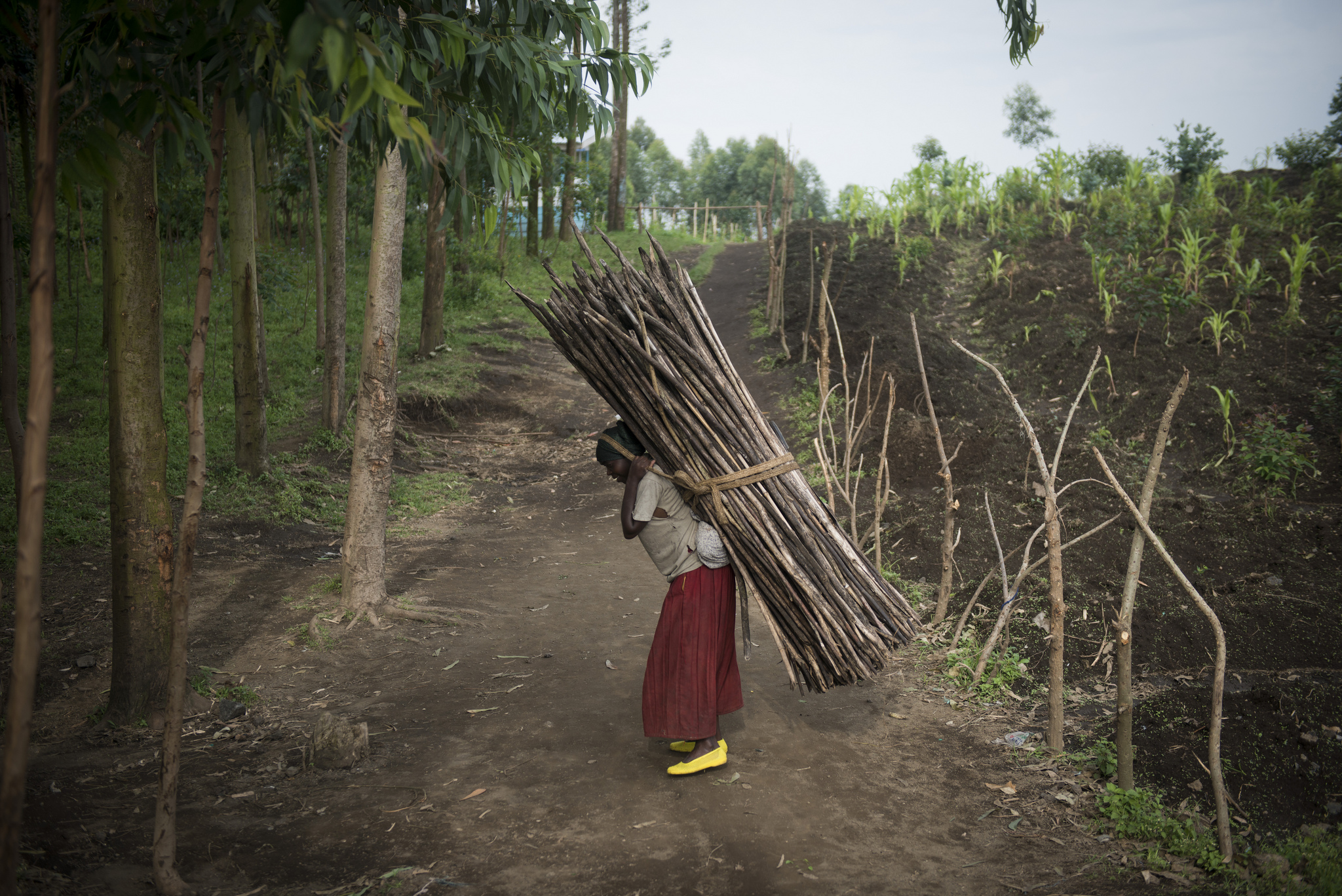 Congo's 'Hidden' Hunger Crisis Leaves Millions In Need of Food Aid