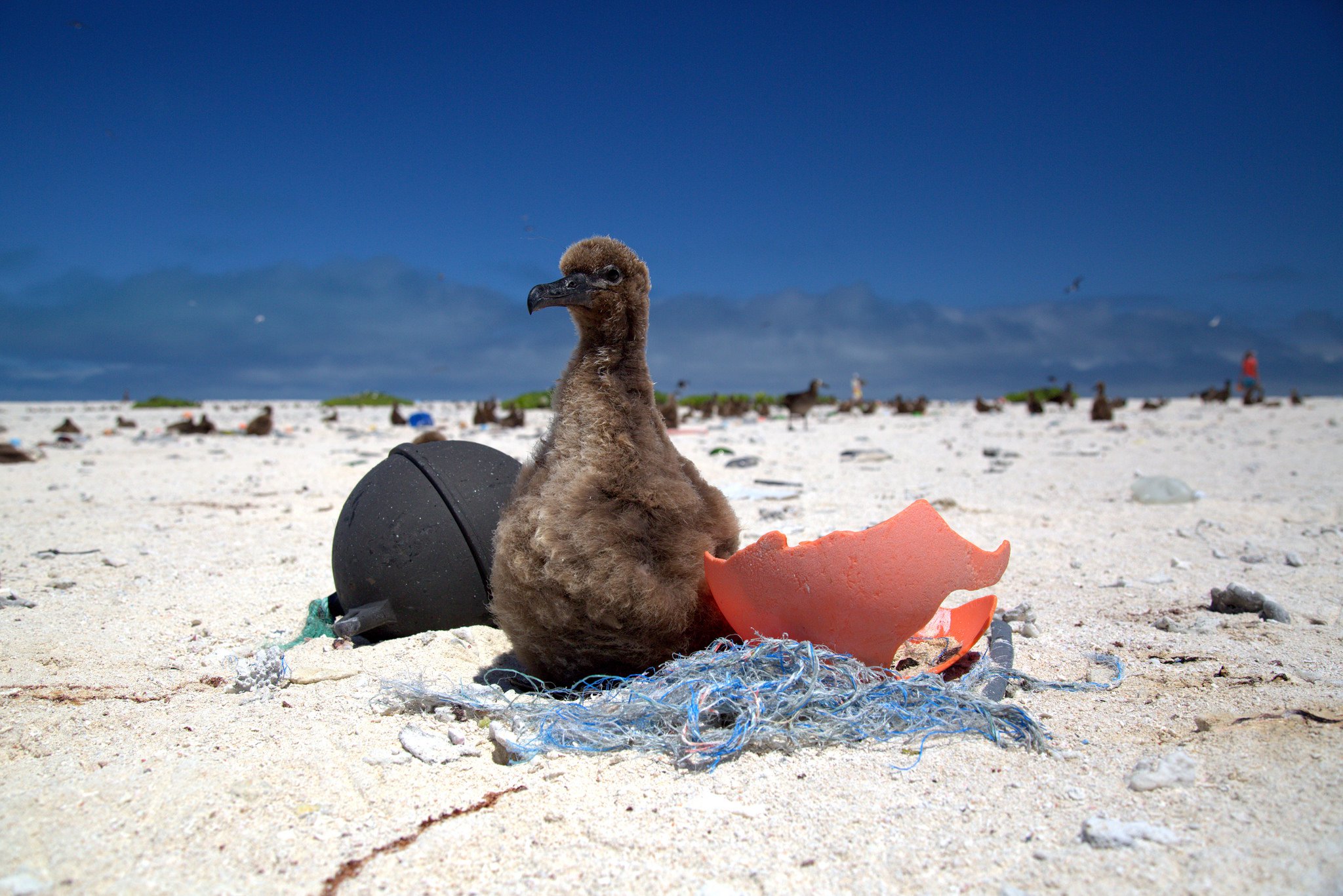 12 Plastic Pollution Facts That Show Why We Need To Do More