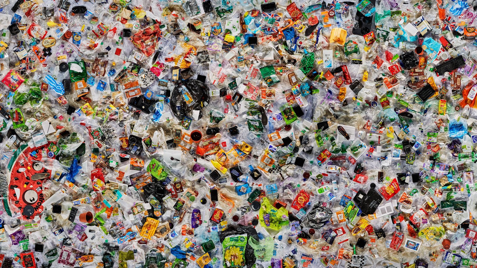 Artist Daniel Webb Turned a Year’s Worth of Plastic Into Art