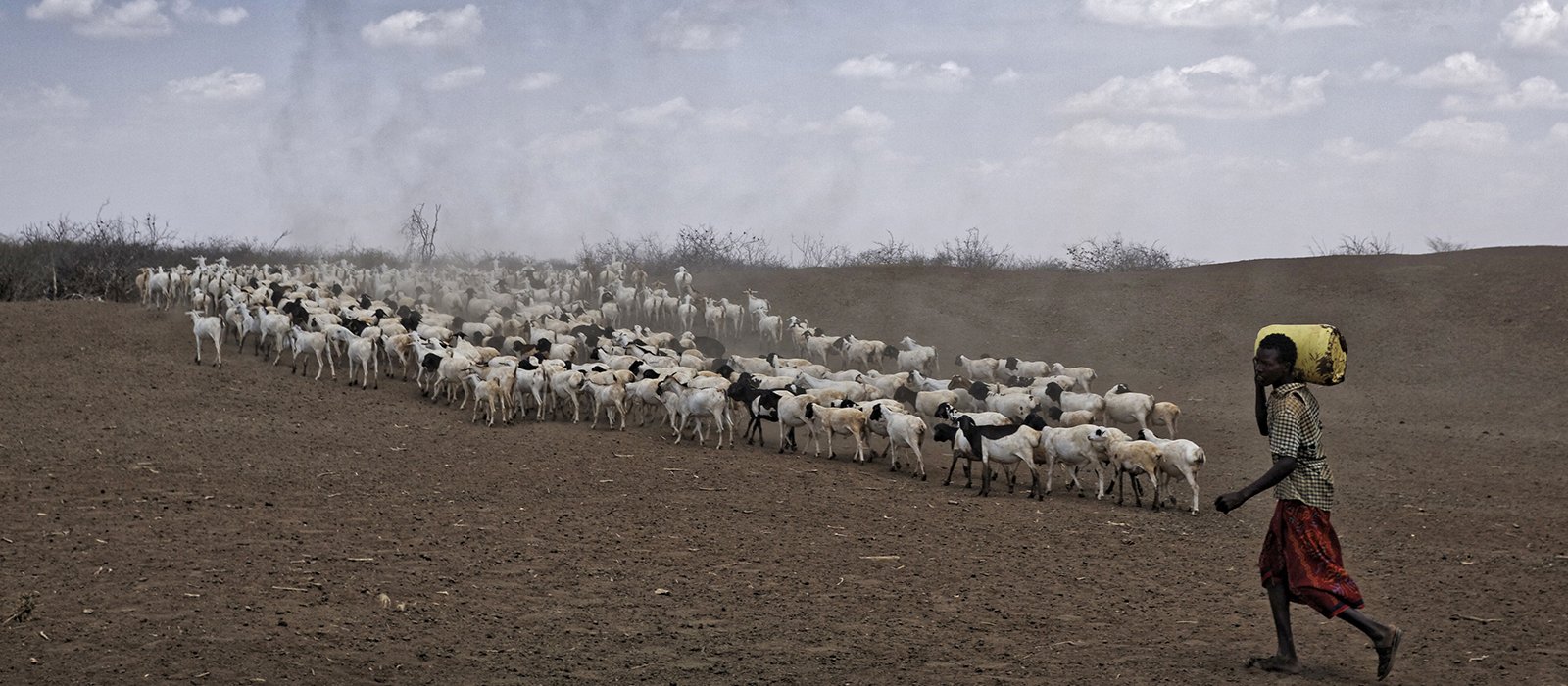 Kenya Just Launched a $34 Million Project to Tackle Effects of Climate ...