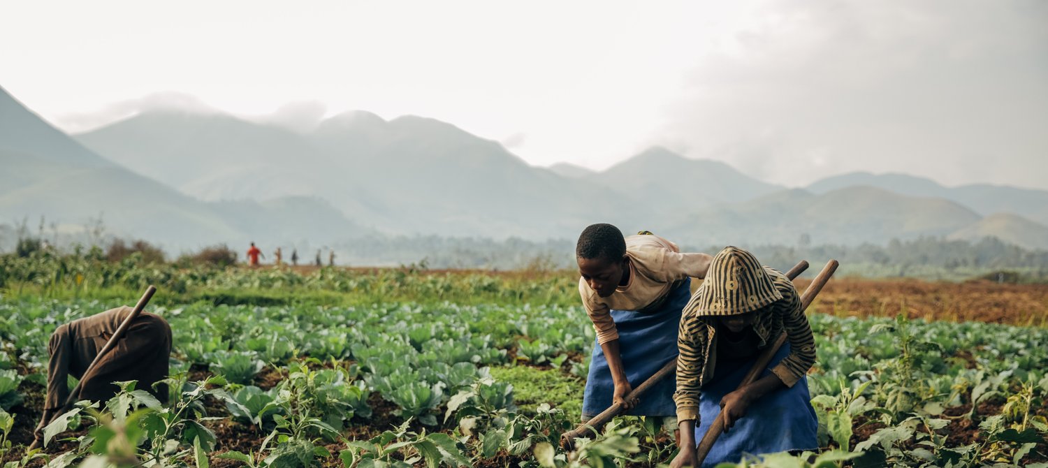 Hunger Is Making the World Less Stable, New Report Shows