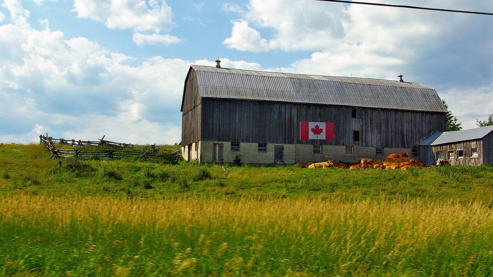This Farming Project Is Helping Yazidi Refugees Resettle in Canada