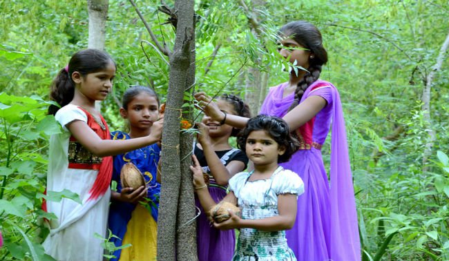 This Indian Village Plants 111 Trees Every Time a Girl Is Born