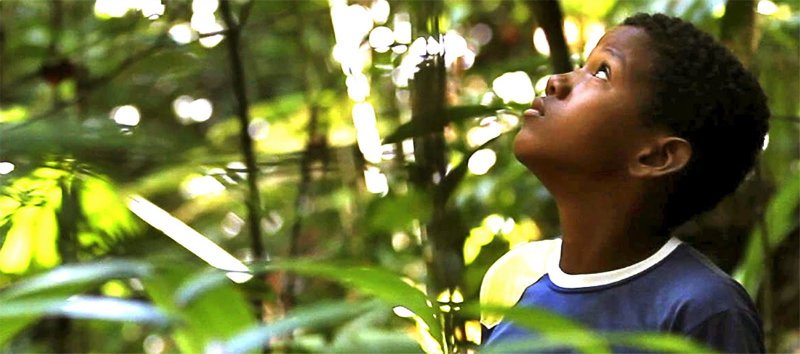 17 Projects That Are Helping Protect the World’s Trees