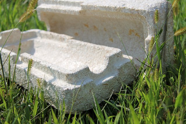 Ikea is Switching to Biodegradable Packaging Made From Mushrooms