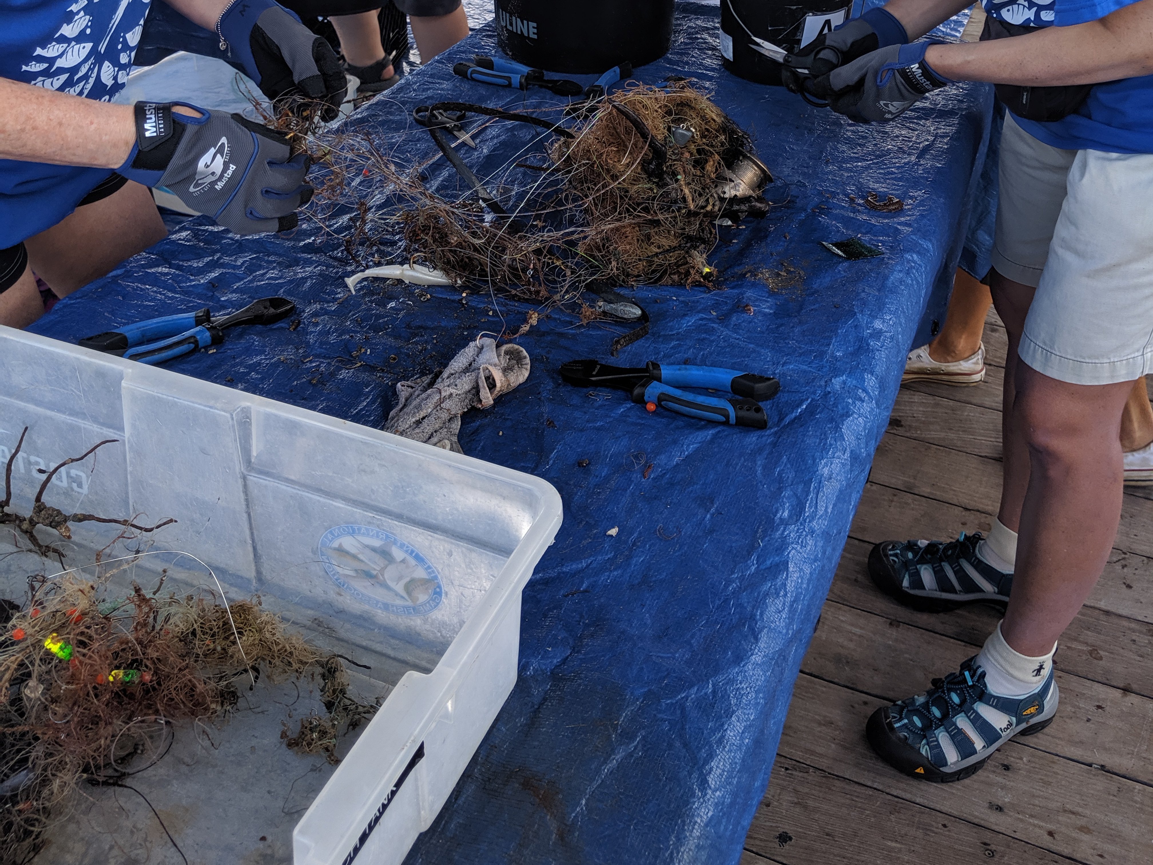 Hundreds of Divers Just Set the World Record for Largest Underwater Cleanup