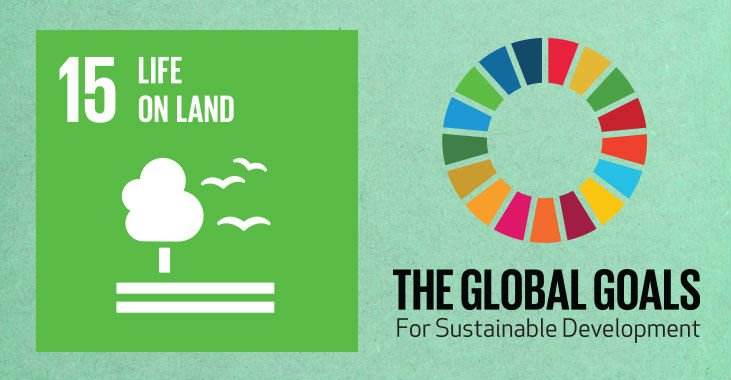 17 ways education influences the new 17 Global Goals