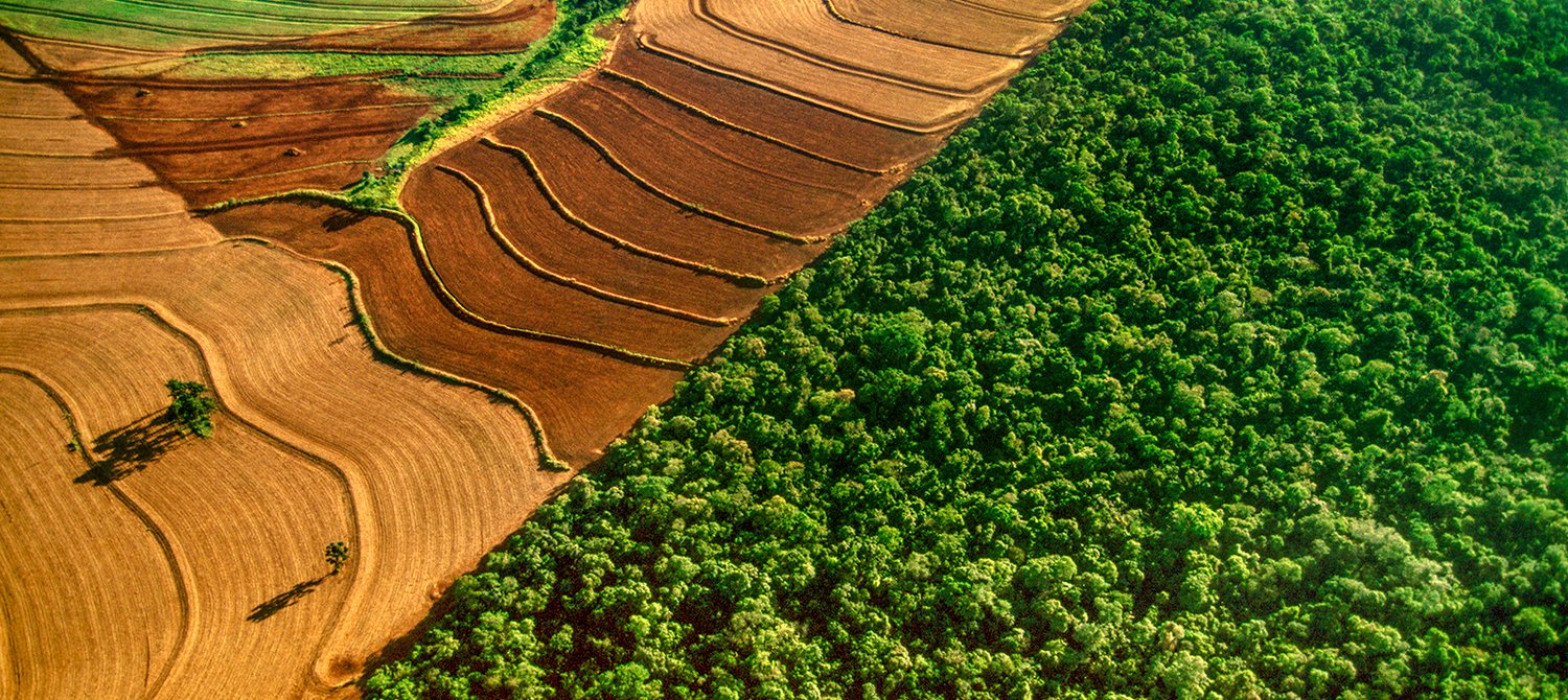 A Planet in Crisis: 5 Photographers Show a Dying Environment