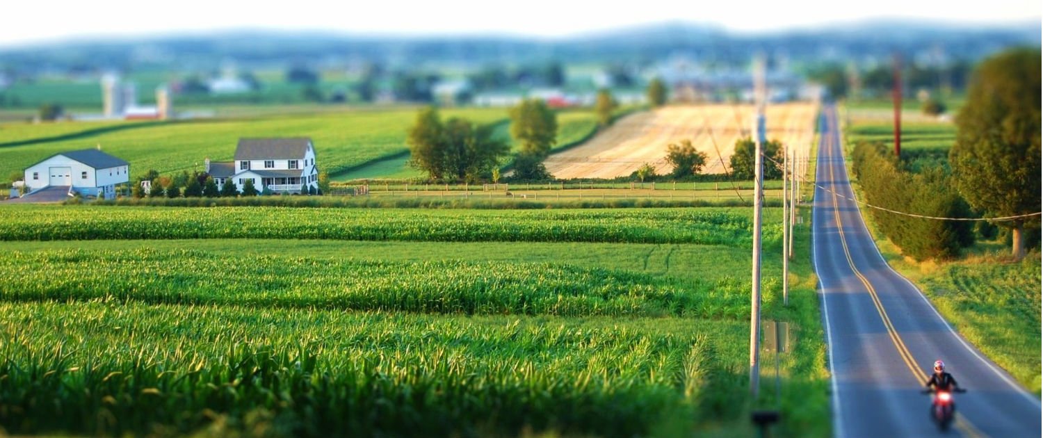 Beyond Local Farms: How To Support Sustainable Agriculture