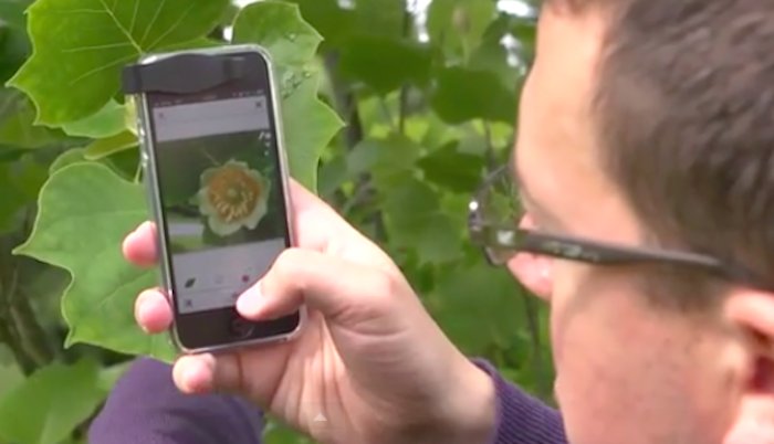 Snap a photo of a plant and this app will tell you all about it