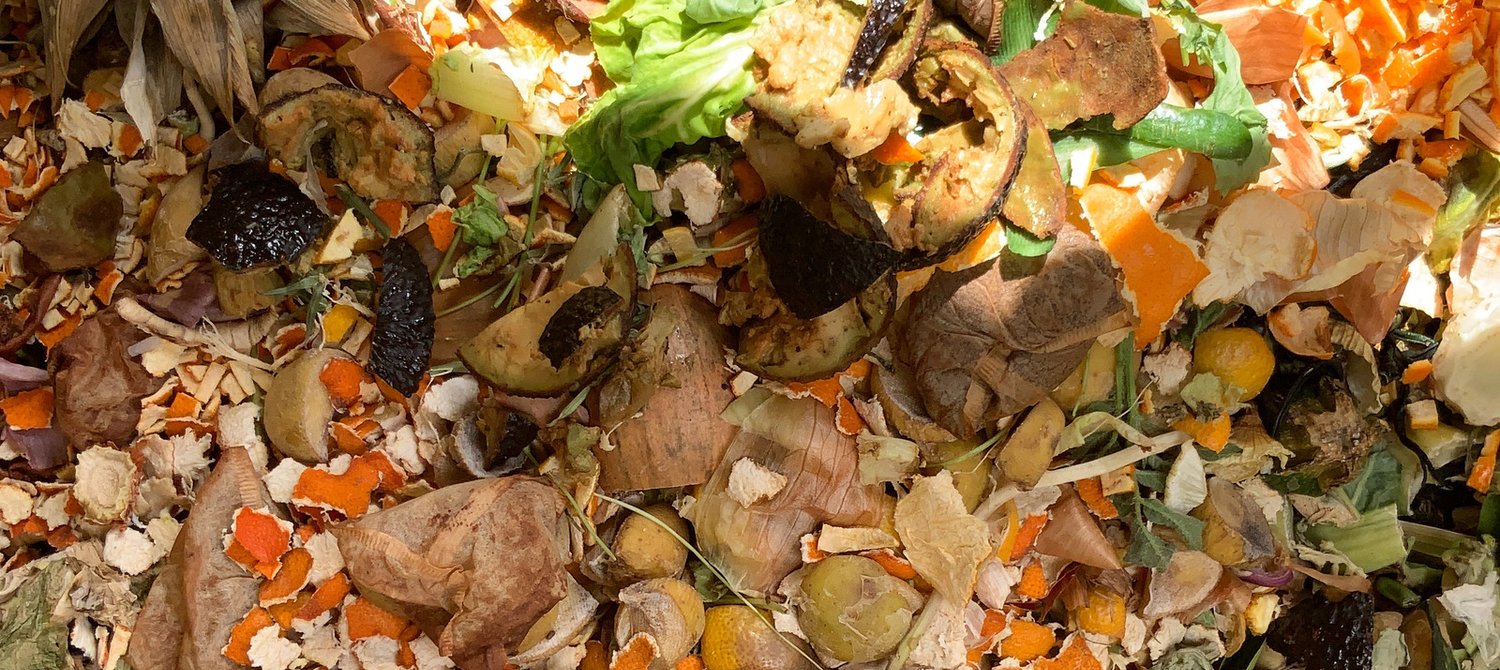 Composting 101: 3 Ways Global Citizens Can Start Composting and Protect ...