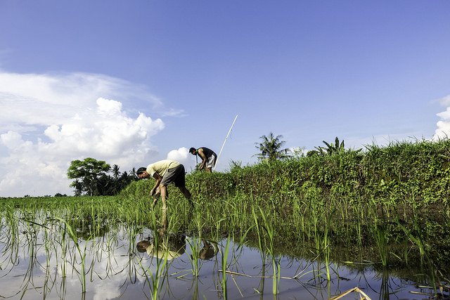 5 'Weird' Schools That Are Challenging How Students Learn