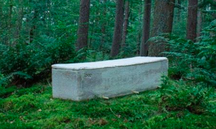 This ‘Living’ Fungi Coffin Could Revolutionise Graveyards