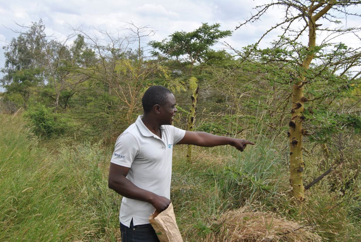 Kenyans Are Replanting Forests With Slingshots and Hot Air Balloons