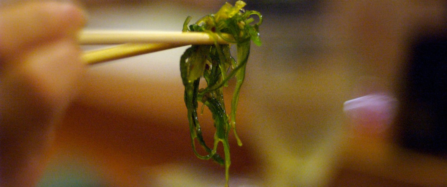 Can eating seaweed stop climate change?