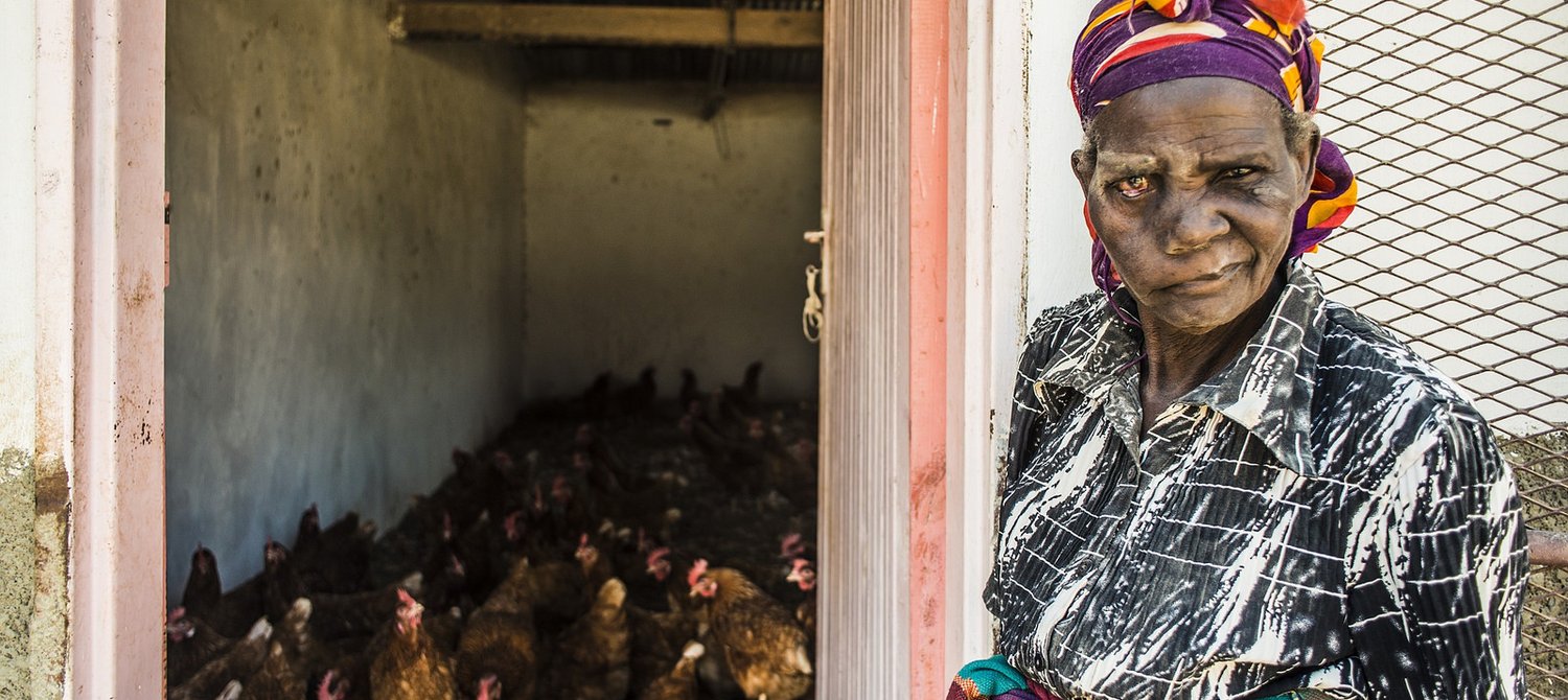 Neglected Tropical Diseases: Everything You Need to Know