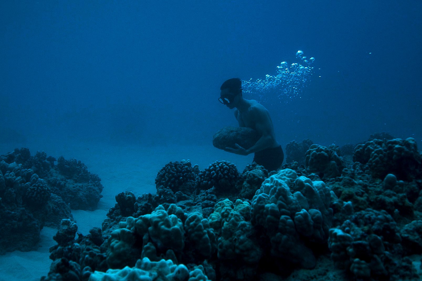 Dying Coral Reefs Inspired Artist Sean Yoro’s Underwater Murals