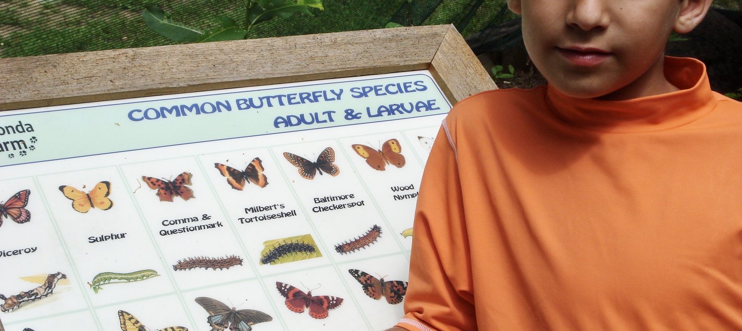 This High School Student Has Been Saving Butterflies Since He Was 5