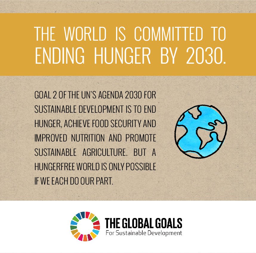Hunger 101: The Low-Down on World Hunger
