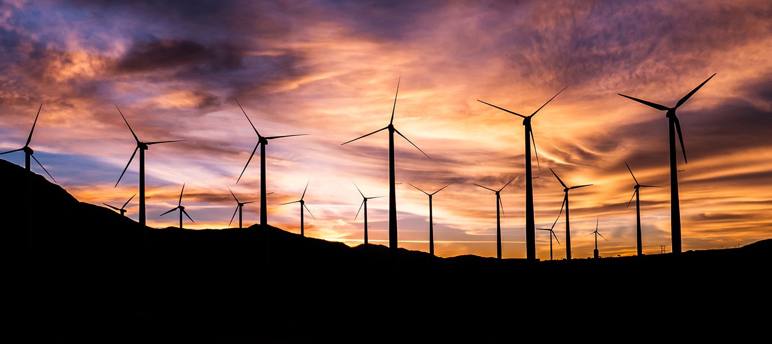 Renewable Energy: Everything You Need to Know