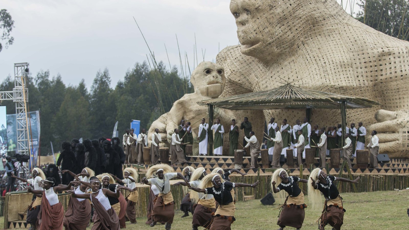 Kwita Izina: The Historically-Rooted Rwandan Ceremony That Helps ...