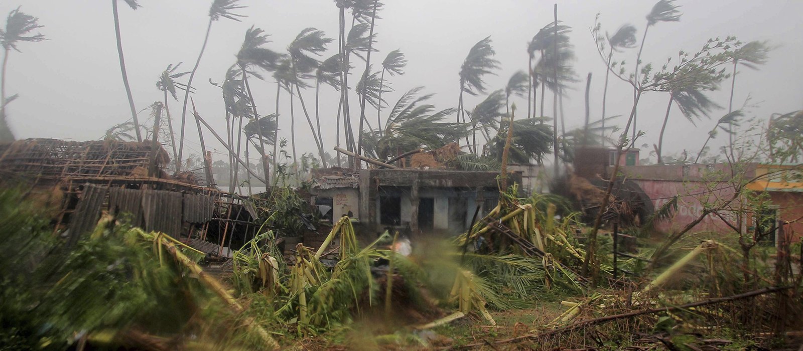 3 Ways You Can Help the Victims of Cyclone Fani
