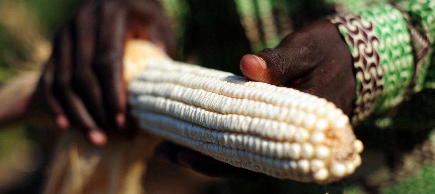 The US Congress just took a major step towards alleviating hunger ...