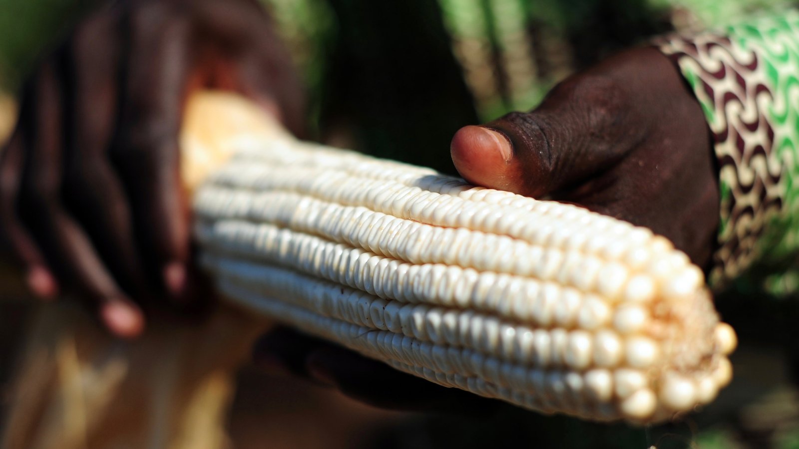 The US Congress just took a major step towards alleviating hunger ...