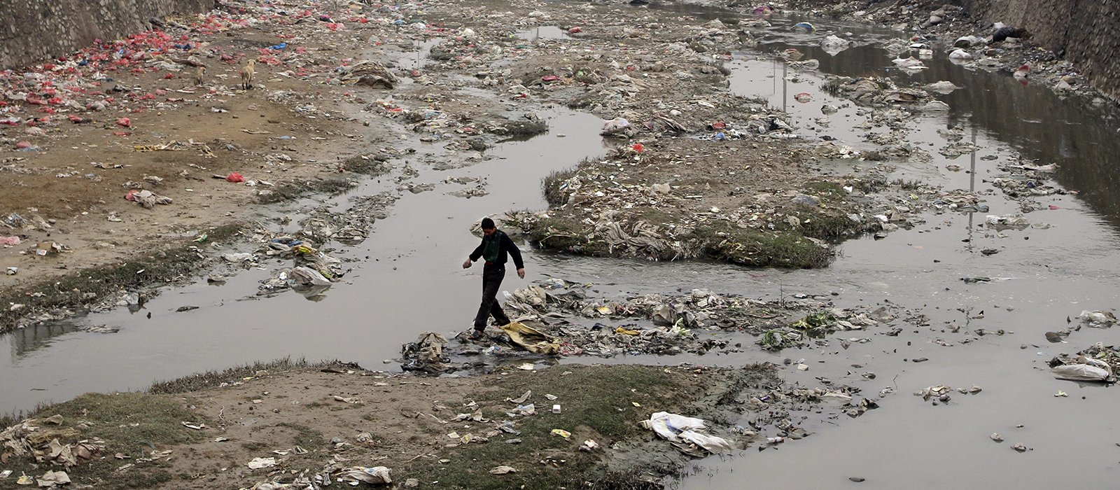 Scientists Want to Make Harming the Environment a War Crime