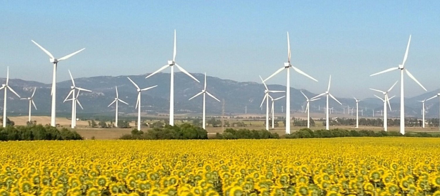 Senegal Opens West Africa's First Major Wind Farm in Push for Renewables