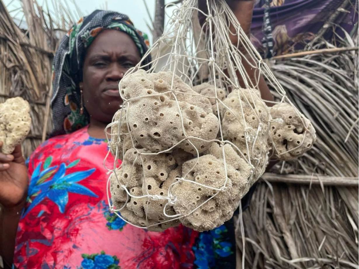 These Amazing Women Sea Farmers Grow Sustainable Sponges Despite ...