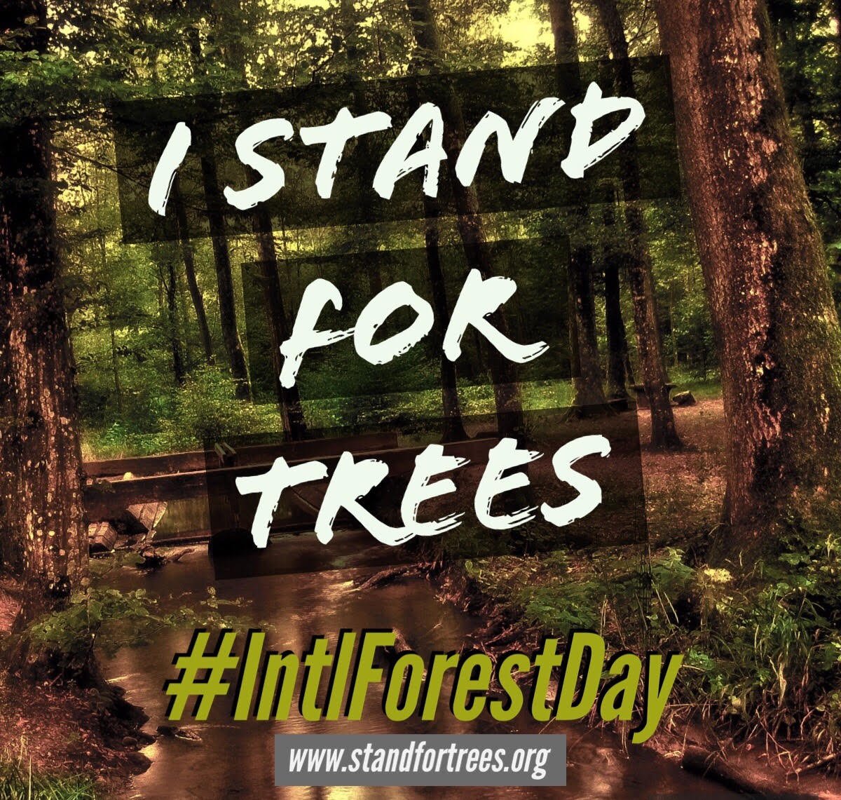 Celebrate International Day of Forests With Stand For Trees