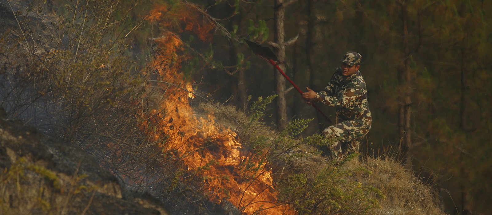 Deadly Forest Fires in India and Nepal Are Spewing Carbon Into the ...