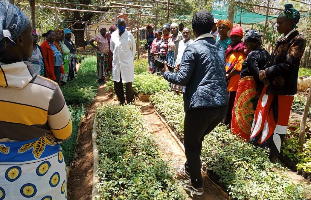 3 Organisations We're Working With to Fight Hunger Across Sub-Saharan ...