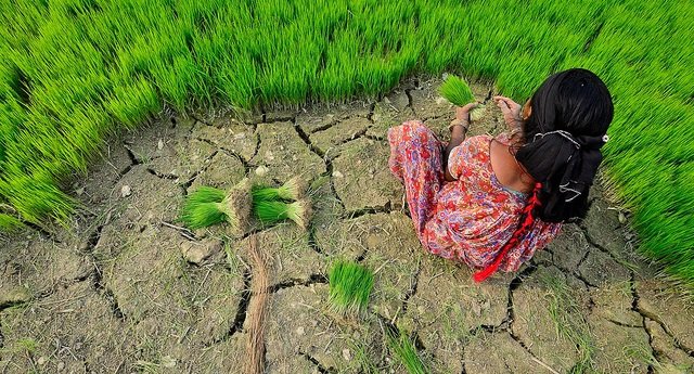 Watch List: 11 Must-Watch Environmental Documentaries