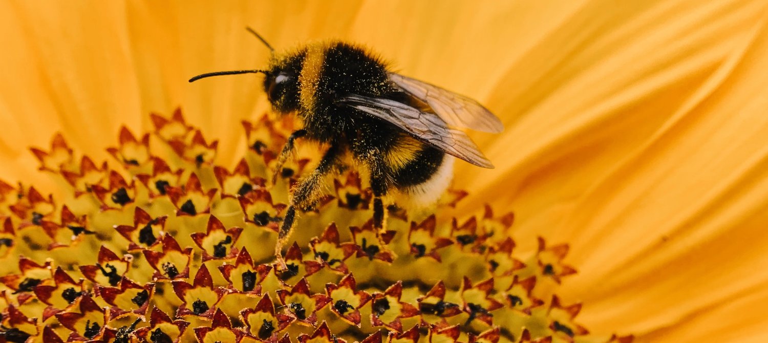 Protect Nature — Pledge Now