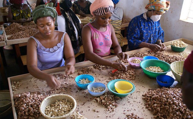 World Hunger & Food Access: Questions, Answers And Progress