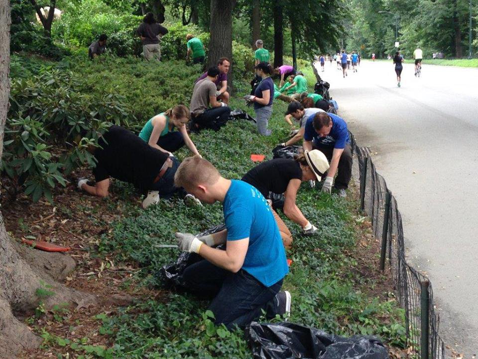 What Makes A Public Park Great? The Best Provide An Escape