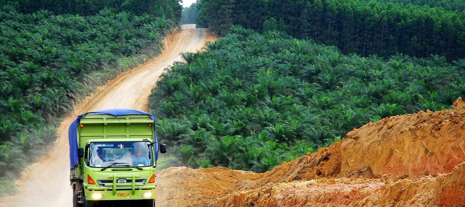 What Is the FOREST Act? Everything to Know About the US Bill to Fight ...