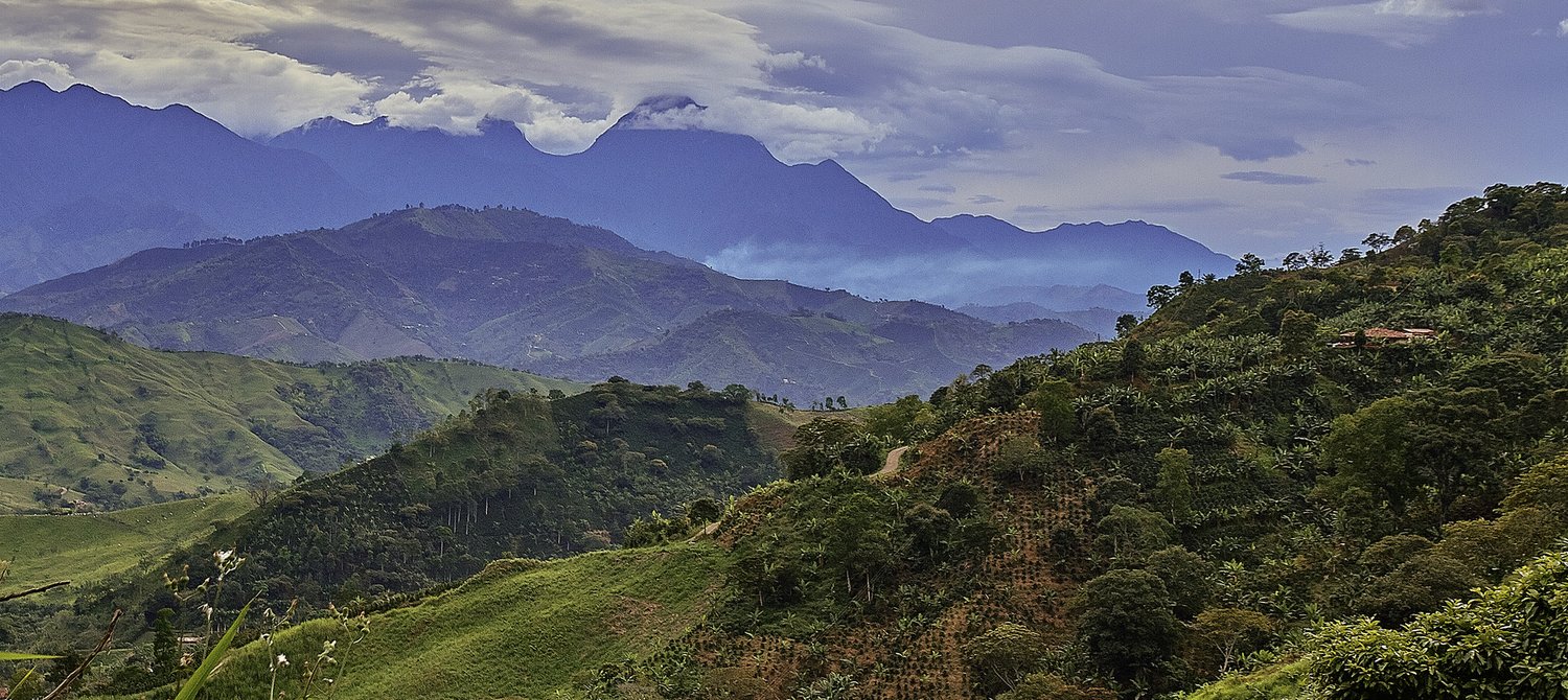 These Young Colombians Are Suing Their Government to Protect the ...