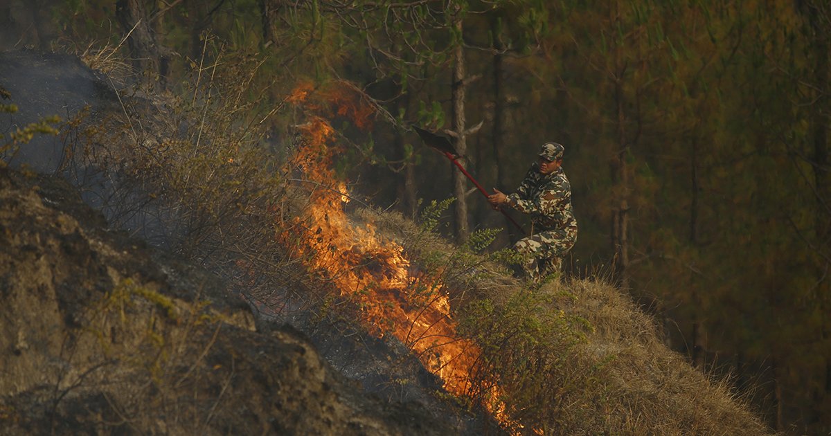 Deadly Forest Fires in India and Nepal Are Spewing Carbon Into the ...