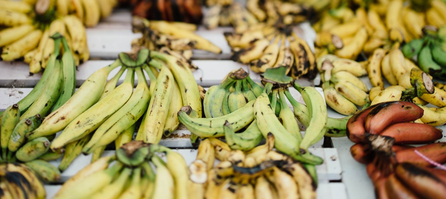The EU Just Took a Major Step Toward Cutting Food Waste in Half by 2030