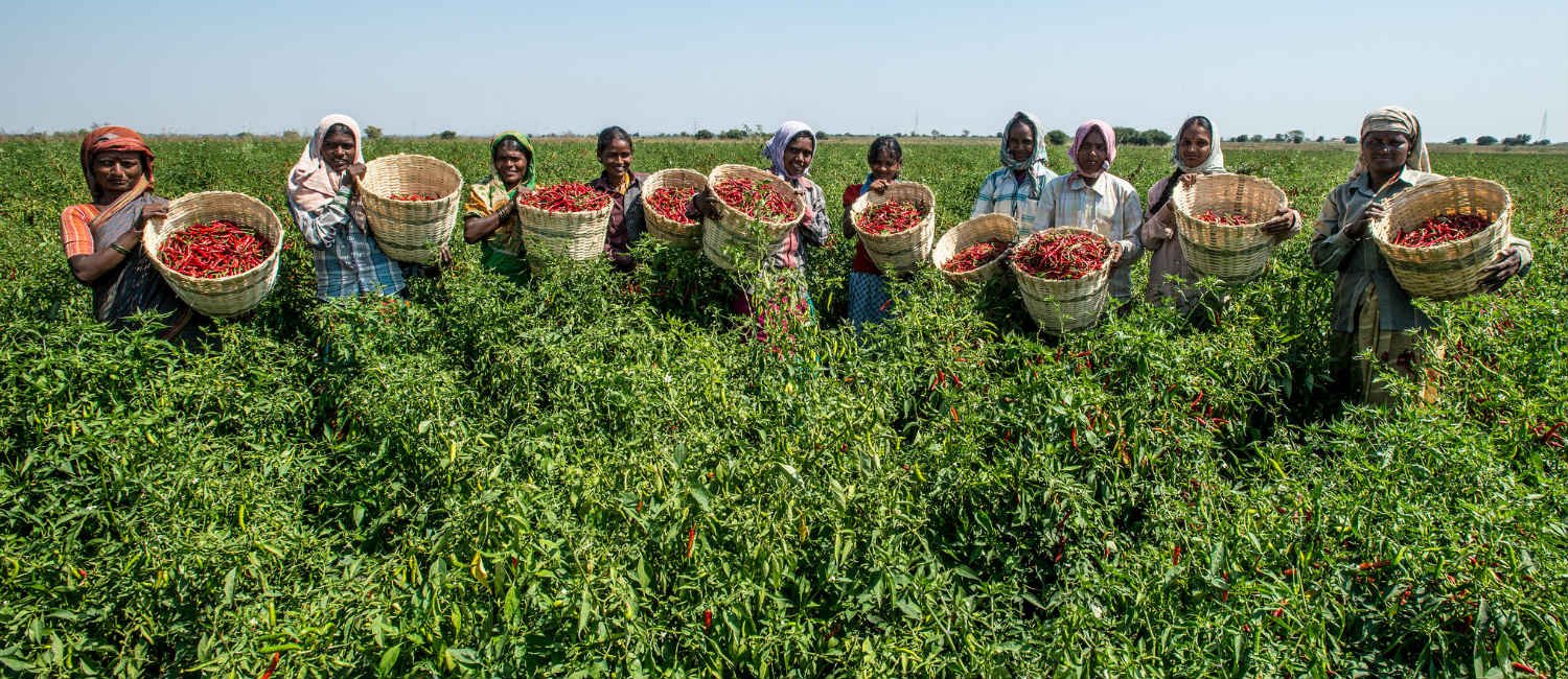 Surprise! Most Small Farms In The World Are Run by Women