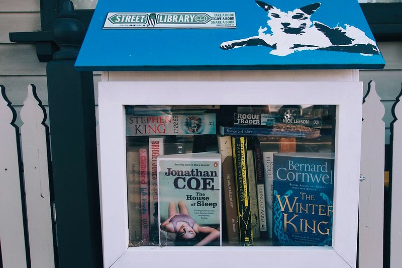 5 Ways You Can Help Improve Literacy on a Local Level