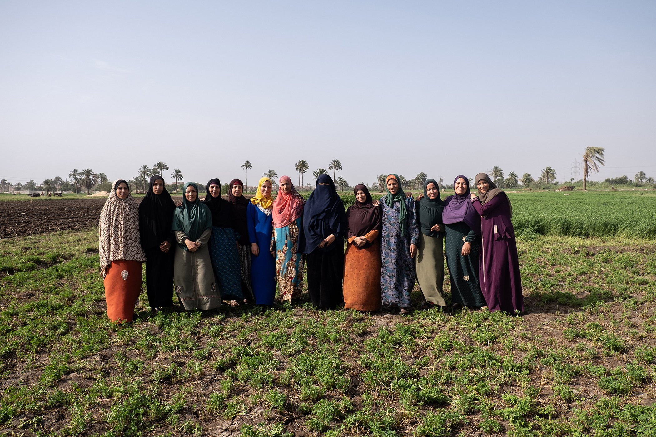 Farmers on the Front Lines: Smallholders in Egypt Confront Climate ...
