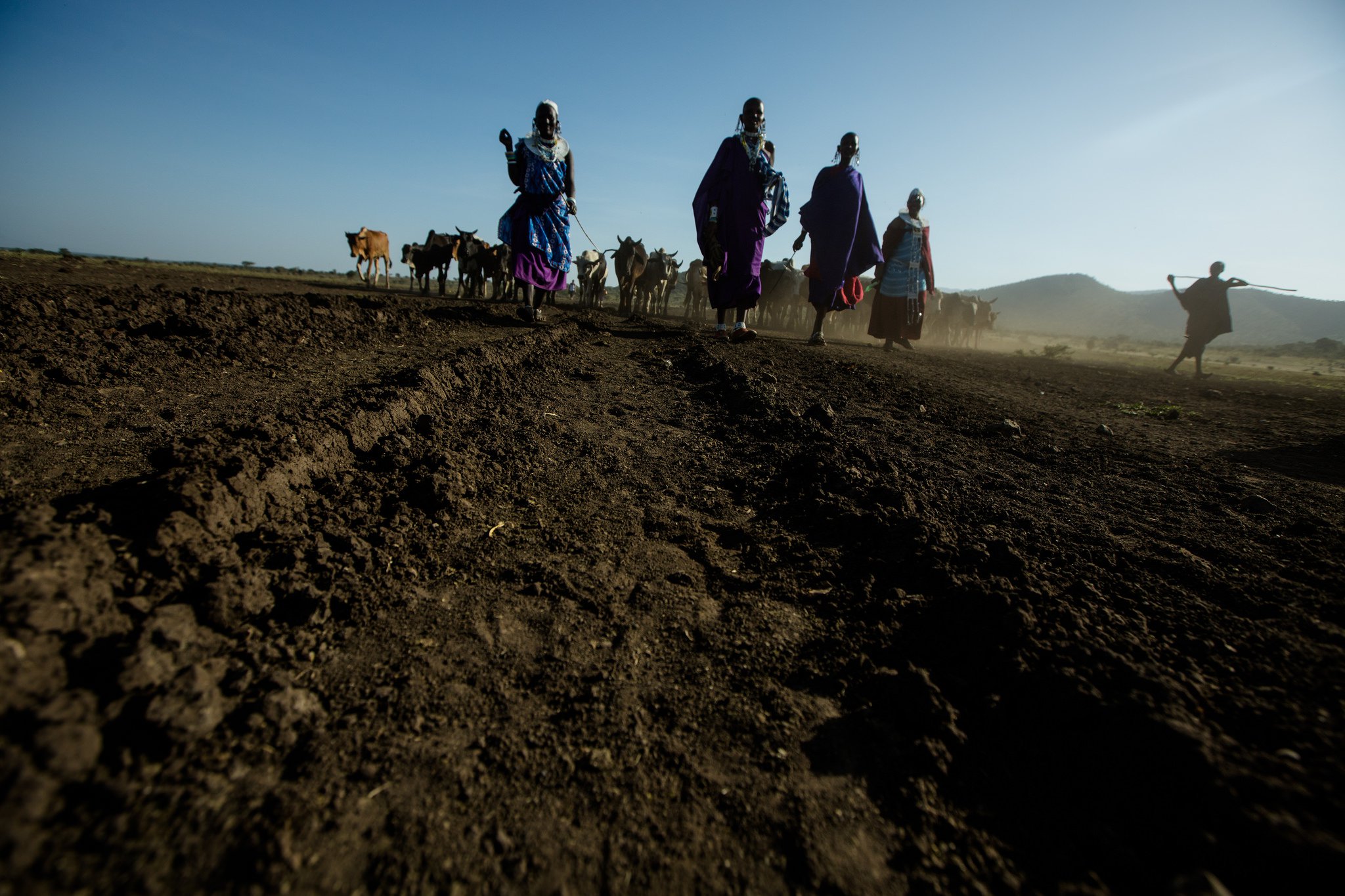 6 of the Most Exploited Natural Resources on Earth