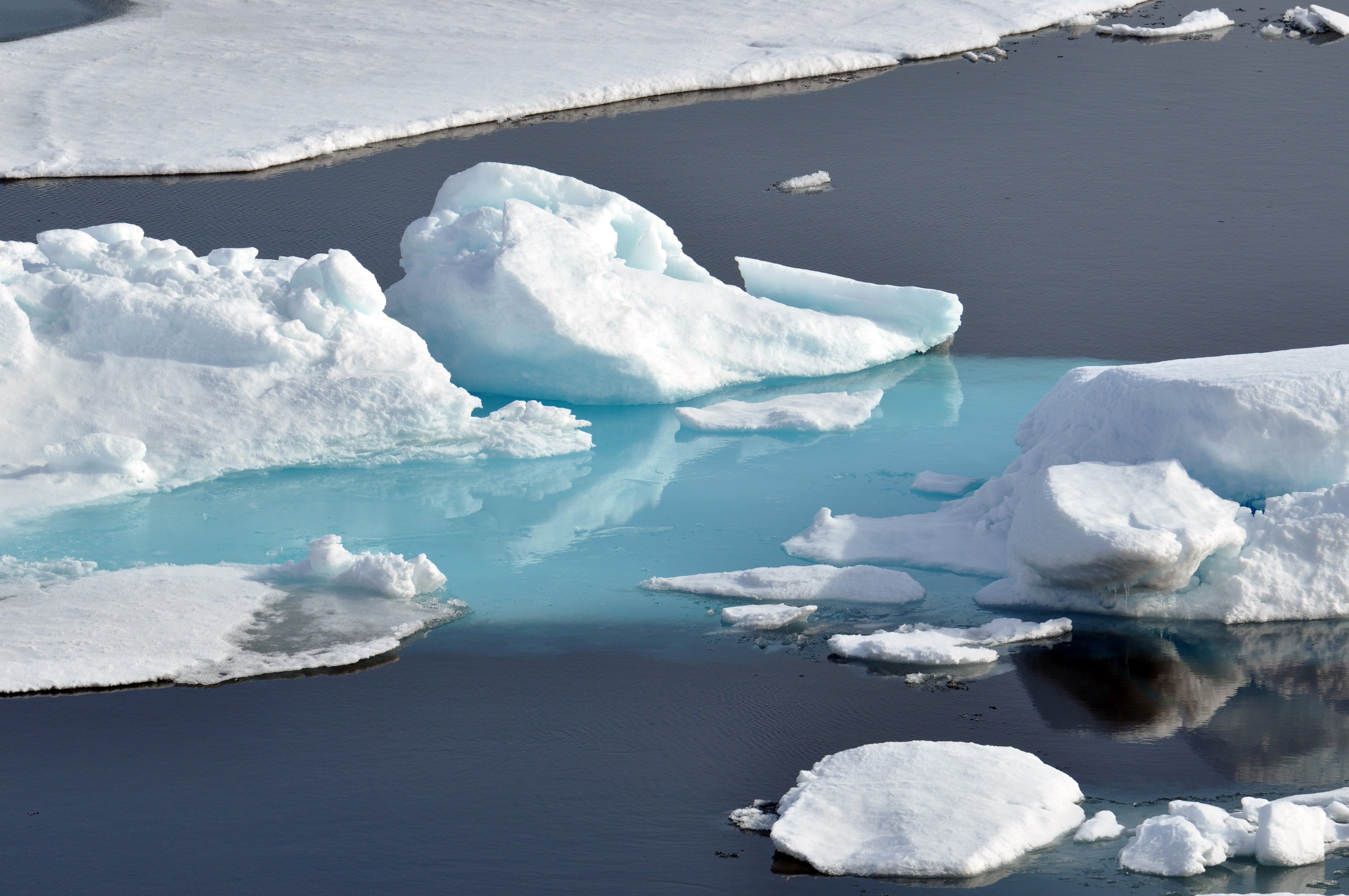 6 Ways the Melting Arctic Threatens the Planet