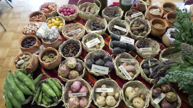 Beyond Local Farms: How To Support Sustainable Agriculture