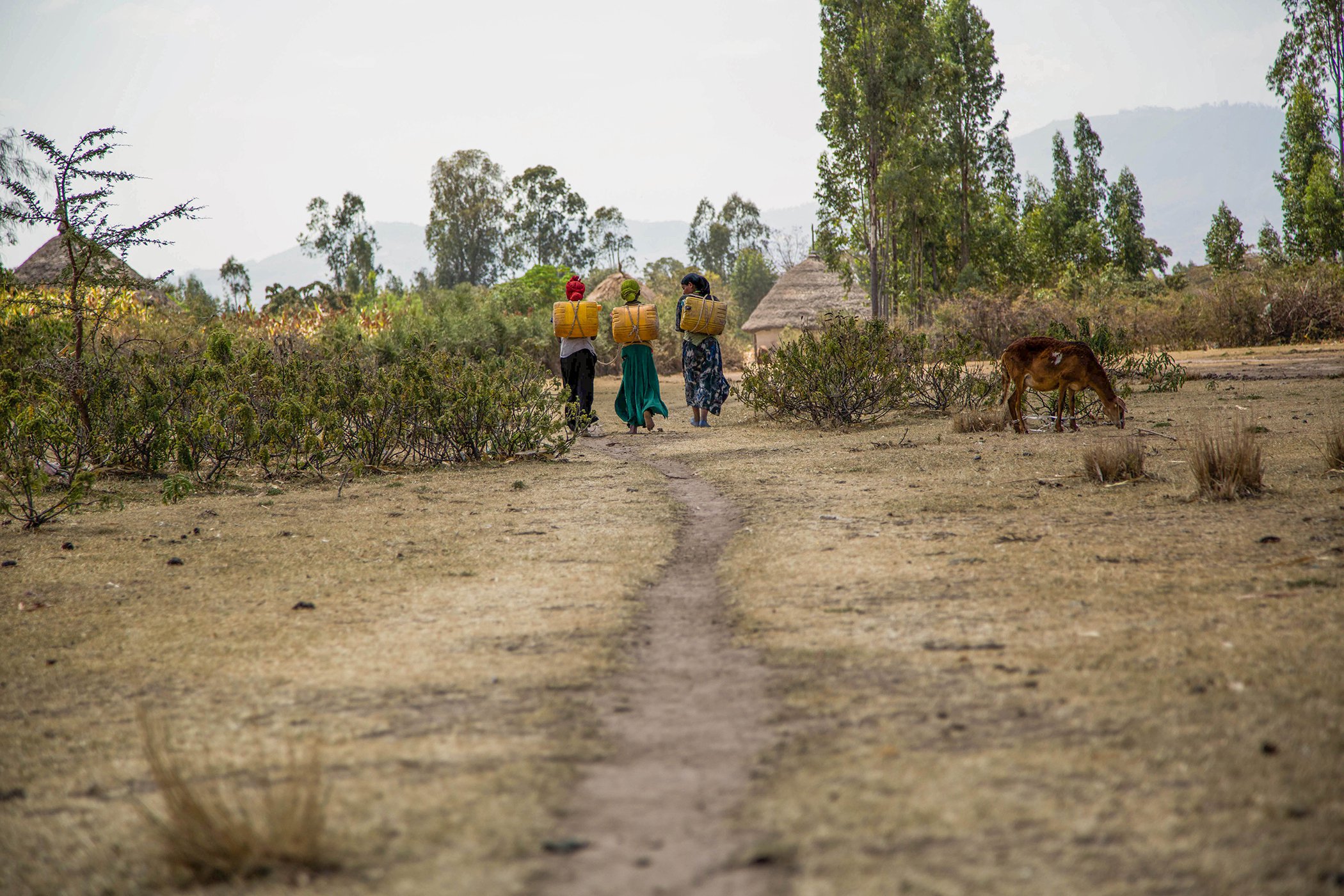 6 Reasons Gender Equality Is Crucial to Achieving the UN’s Global Goals