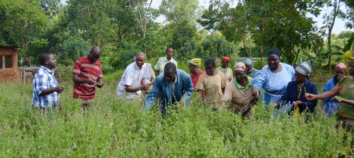 The Women Leading This Kenyan Environmental Group Are Thriving Where ...